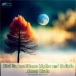 Bird Superstitions: Myths and Beliefs About Birds