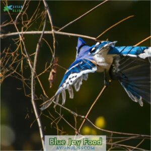 Do Blue Jays Really Eat Other Birds? Facts Revealed