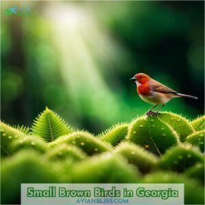 Types of Small Birds in Georgia (ID Guide With Photos)