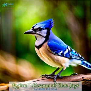 How Long Do Blue Jays Live? Discover Their Lifespan