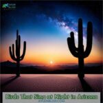 Night Birds in Arizona: Types, Sounds & ID Guide