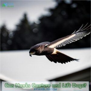 Why Do Hawks Circle? The Fascinating Science Behind Their Aerial Acrobatics