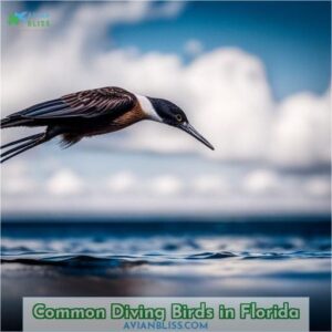 Florida's Expert Diving Birds: Underwater Fishing Masters