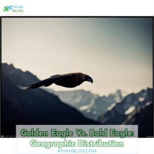 Golden Eagle Vs. Bald Eagle: Key Differences Revealed