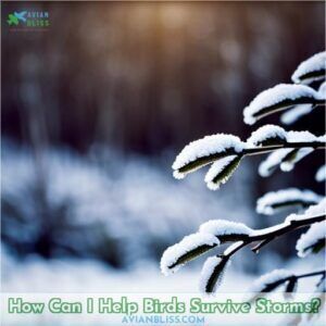 Where Birds Go in Storms: Survival Tips & Habitat Support