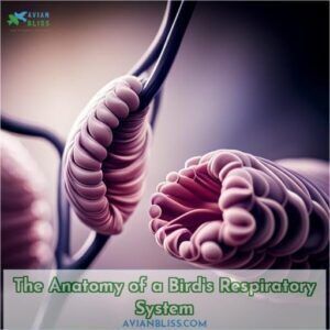 How Birds Get Oxygen: The Fascinating Respiratory Process