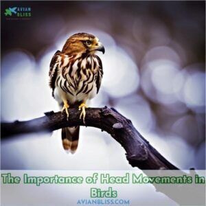 Do Birds Have Ears? Unveiling the Secrets of Avian Hearing