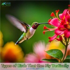 Can Birds Fly Straight Up? Exploring Vertical Takeoff Abilities