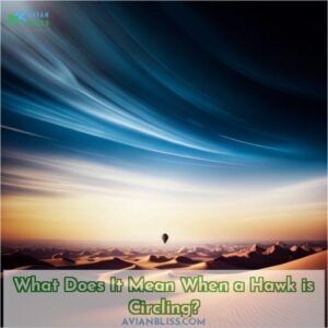 Why Do Hawks Circle? The Fascinating Science Behind Their Aerial Acrobatics