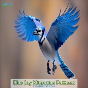 Do Blue Jays Migrate? Unveiling the Enigmatic Journey of These Vibrant ...