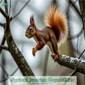 Squirrels' Incredible Jumping Abilities: How Far Can They Leap?