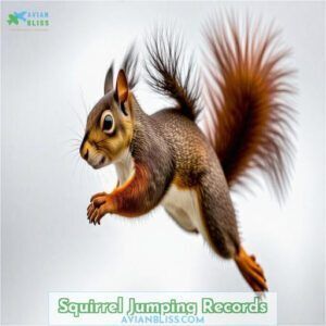Squirrels' Incredible Jumping Abilities: How Far Can They Leap?
