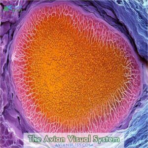 Are Birds Color Blind? Exploring the Vibrant World of Avian Vision