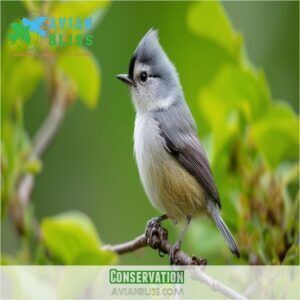 Green Heron: Master Angler of Wetlands | Unique Features & Clever Tactics