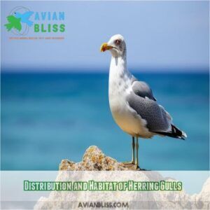 Herring Gull: Behavior, Habitat, Diet & Conservation of Larus Argentatus