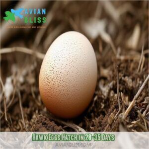 How Long Does It Take for a Bird Egg to Hatch? Species and Factors ...