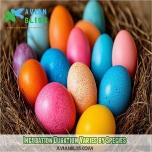 How Long Does It Take for a Bird Egg to Hatch? Species and Factors ...