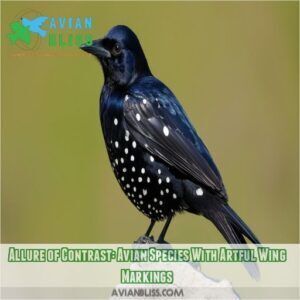Black Bird With White Spots: Stunning Avian Species You Need to See