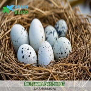 Can You Eat Seagulls? A Guide to Taste, Recipes, and Hunting