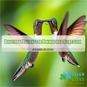 Why Do Hummingbirds Attack Each Other? Nature's Tiny Aerial Fighters