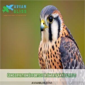 American Kestrel: All You Need to Know About This Unique Bird of Prey