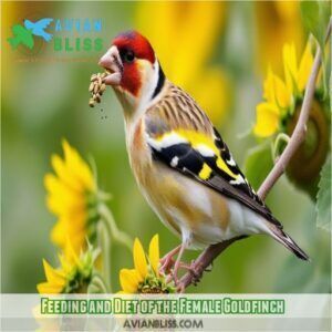 Female Goldfinch: Identification, Behavior, Nesting, and Feeding Habits
