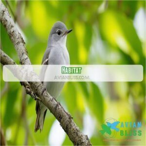 Purple Finch: the Ultimate Guide to Identification, Range, Habitat, and ...