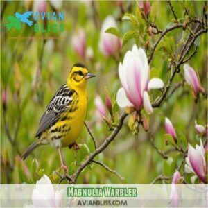 Yellow Birds in Minnesota: 10 Bright Species With Pictures