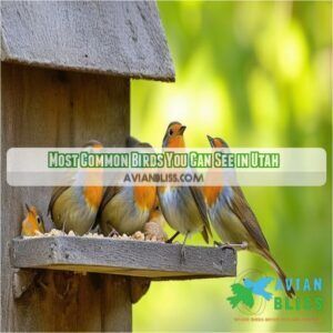 Backyard Birds of Utah: 9 Common Species to Spot