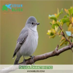 Mew Gull Guide: Physical Traits, Behavior, Range, Reproduction ...