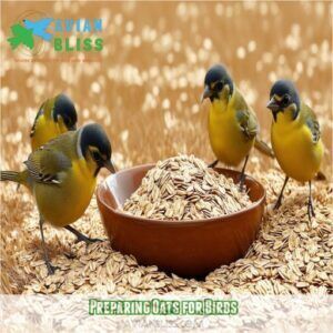 Can Birds Eat Oats? A Nutritious Treat for Your Feathered Friends ...