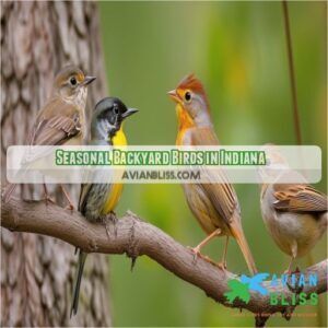 Backyard Birds of Indiana: Spot, Attract, and Enjoy Feathered Friends