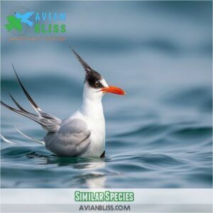 Purple Finch: the Ultimate Guide to Identification, Range, Habitat, and ...