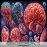 Cancers and Tumors in Birds: Avian Oncology Insights & Treatment Options