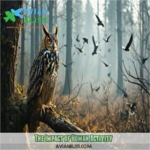 Why Are Birds Scared of Owls? Understanding Their Fear and Survival ...