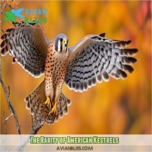 American Kestrel: All You Need to Know About This Unique Bird of Prey