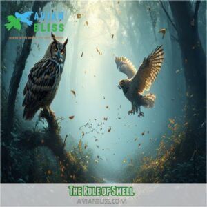 Why Are Birds Scared of Owls? Understanding Their Fear and Survival ...