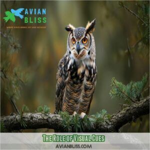 Why Are Birds Scared of Owls? Understanding Their Fear and Survival ...