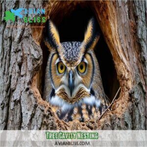 Great Horned Owl Nesting: Varieties, Takeovers, and Urban Nesting ...