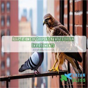 Cooper's Hawk: Nature's Stealth Fighter - 7 Secrets You Won't Believe!