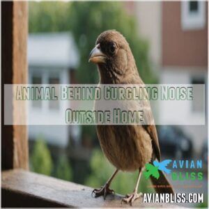 Bird Makes a Gurgling Sound? 7 Shocking Reasons Revealed!