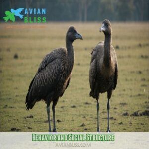 Emu Vs Ostrich: 10 Jaw-Dropping Differences You Won't Believe Exist!