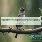 Why is My Bird Shaking? Causes, Symptoms, and How to Help