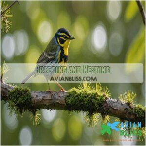 Red-Throated Loon: Your Ultimate Guide to Spotting This Bird