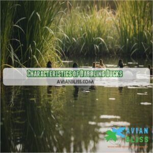 California Ducks: Explore 39 Epic Species, Habitats & Migration Secrets!