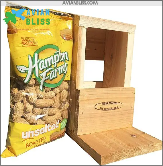 10 Best Squirrel Feeders: Types, Benefits & Choosing Guide