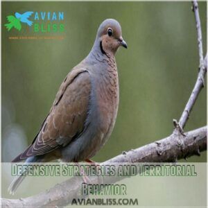 How Smart Are Mourning Doves? 7 Surprising Facts About These Clever Birds