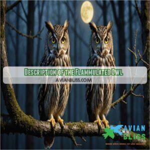 Flammulated Owl: the Tiny Owl With a Mighty Roar