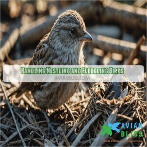 What Do Birds Do When Their Nest is Destroyed? Legal Insights