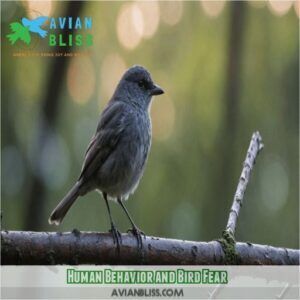 Why Are Birds Scared of Humans? Surprising Reasons Revealed Inside!